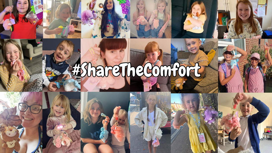 ACTOYZ | Home to the Comfort Keychain® – AC TOYZ